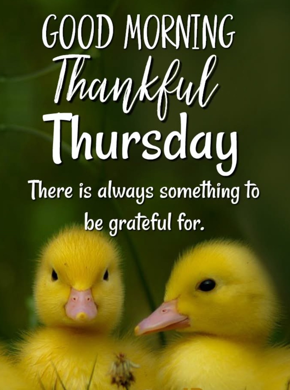 3/20/25 – Jennifer Del Villar