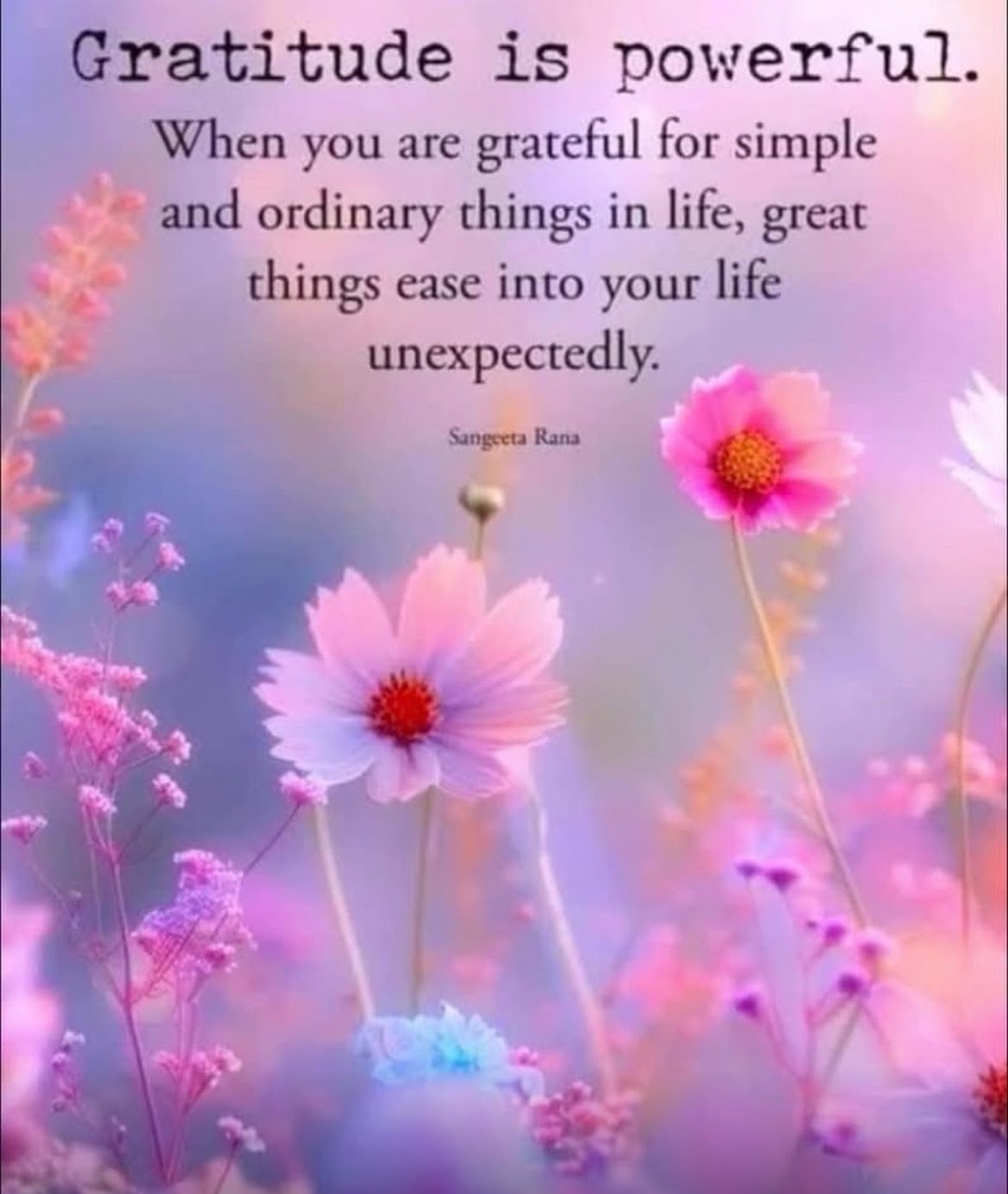 5/8/25 – Jennifer Del Villar